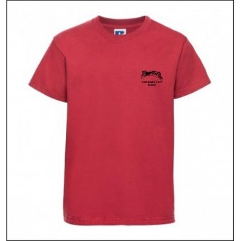 A1 Print & Stitch - Awliscombe Primary Adults T-Shirt - Classic Red - 180M